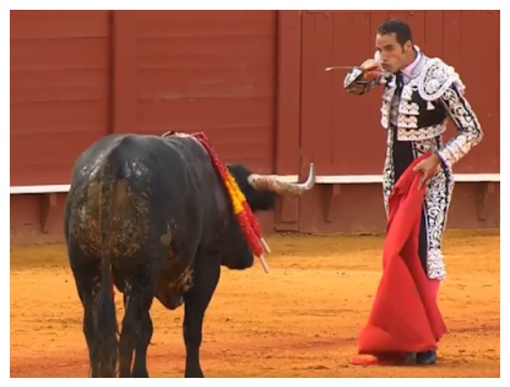 Estocada final al toreo en Colombia - El Unicornio